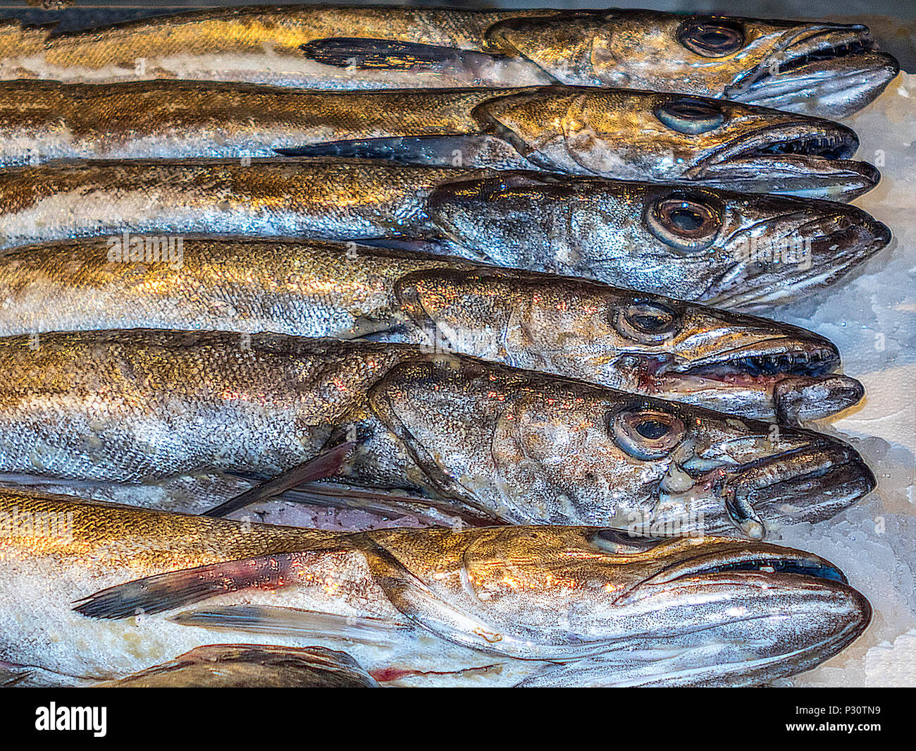 Fish market cadiz hi-res stock photography and images - Alamy