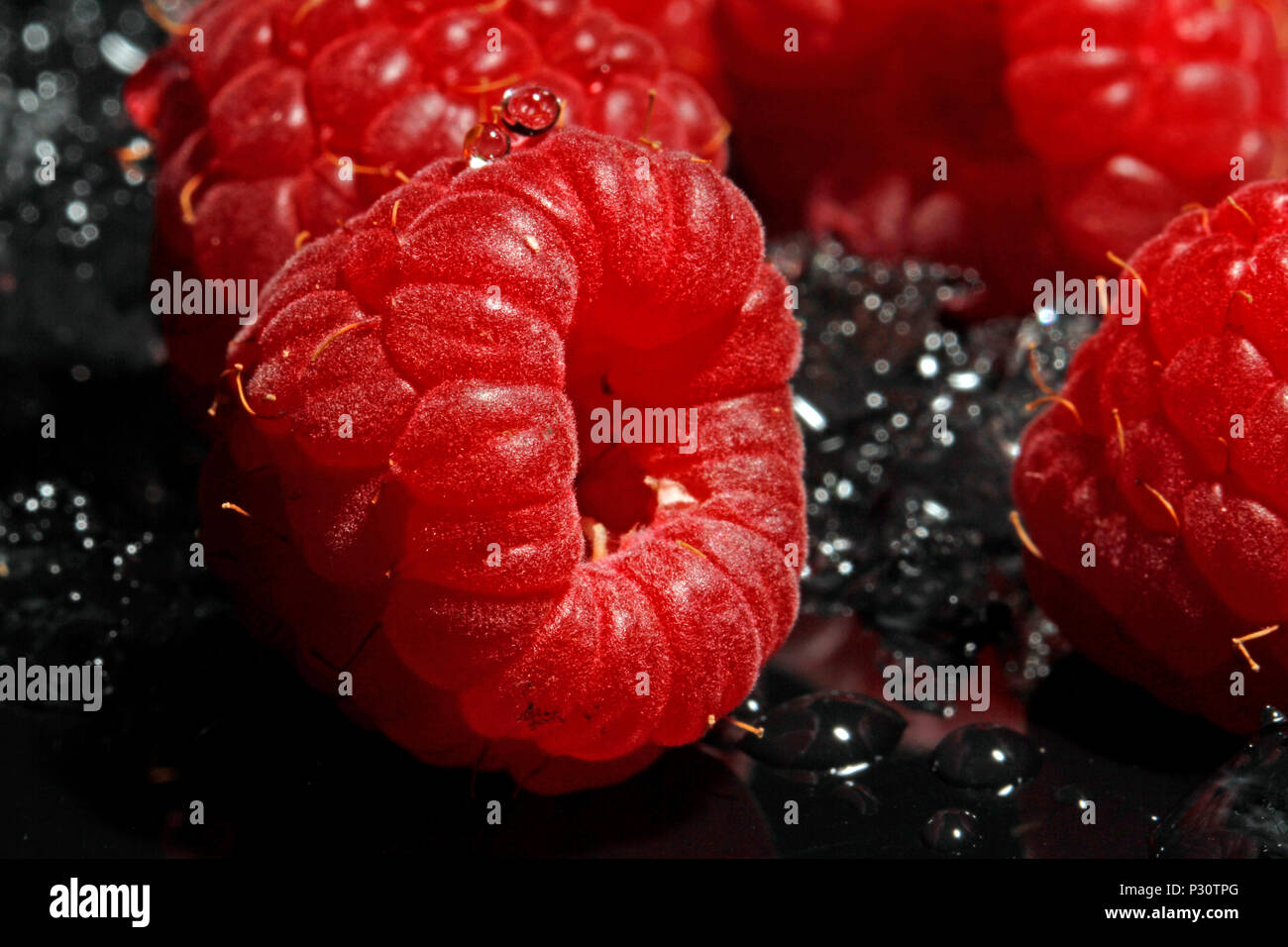 Waldbeeren hi-res stock photography and images - Alamy