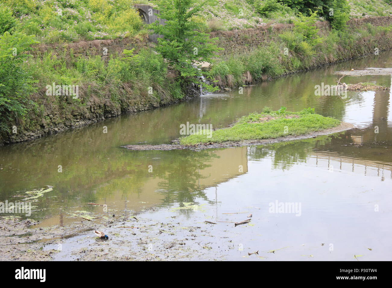 Contaminated water course hi-res stock photography and images - Alamy