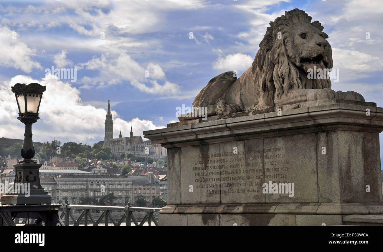 Lion sculpture on Széchenyi Chain Bridge, Hungary, Budapest, Europe ...