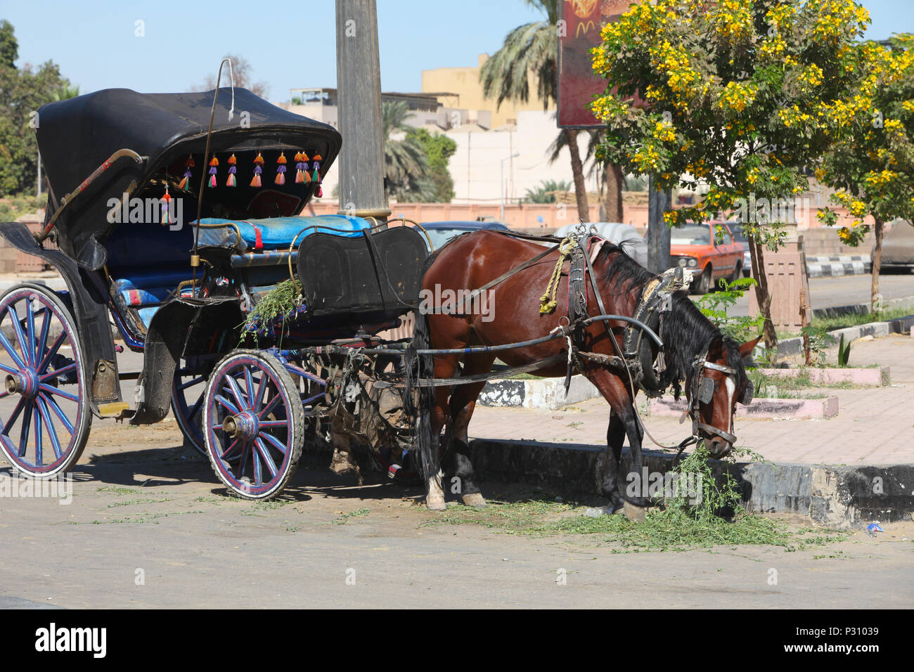 Traditional life egypt hi-res stock photography and images - Alamy