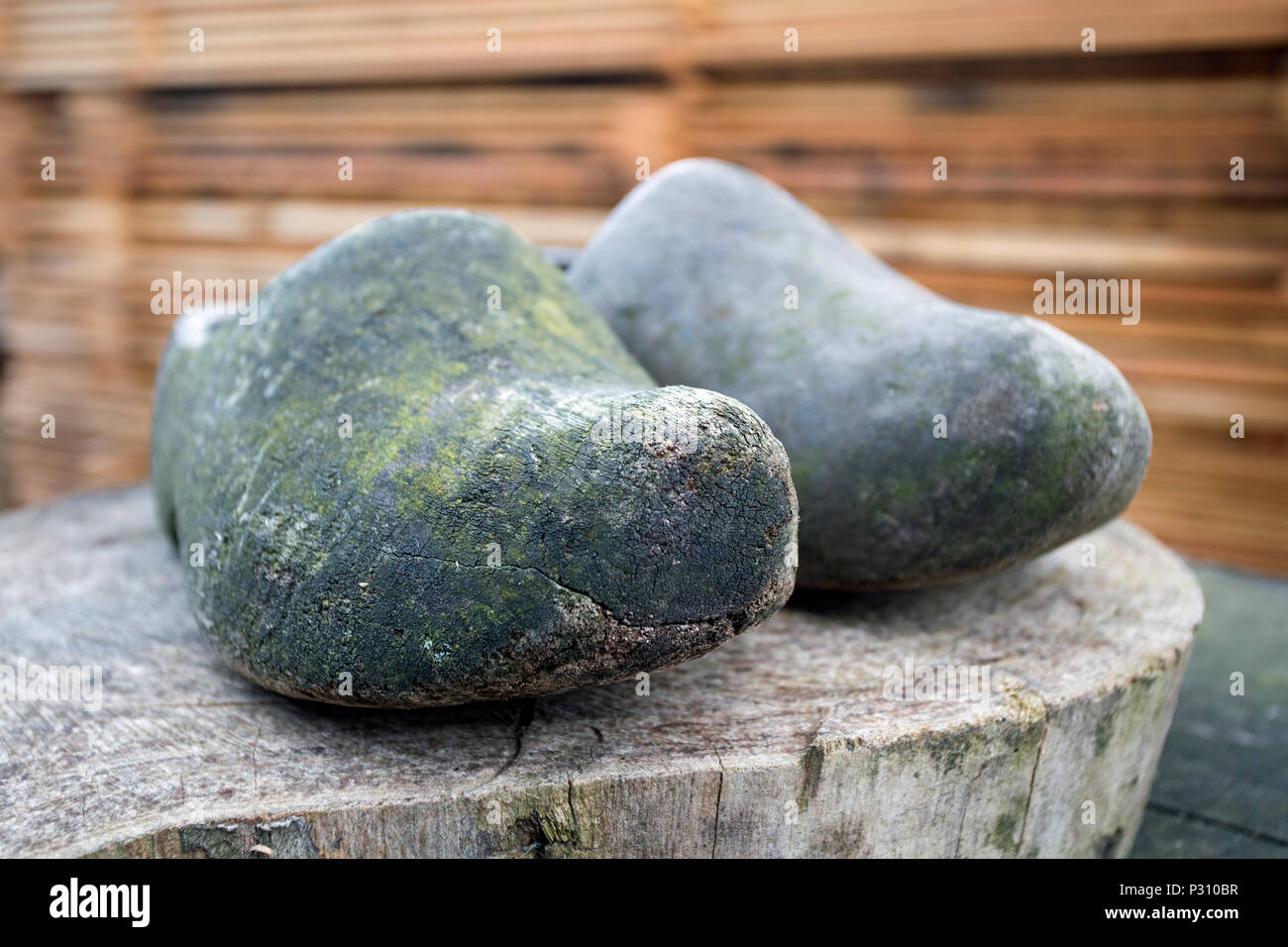 Weathered traditional wooden clogs outside a windmill at Amsterdam ...