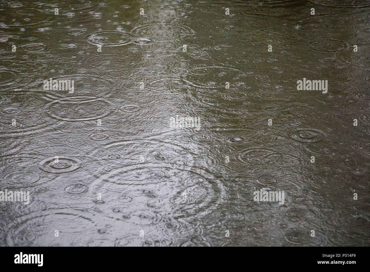 Background raindrops into a puddle Stock Photo - Alamy