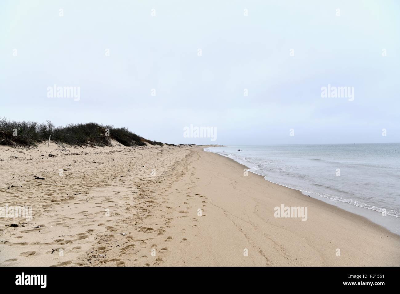 Cape Cod National Seashore, Massachusetts, USA Stock Photo - Alamy