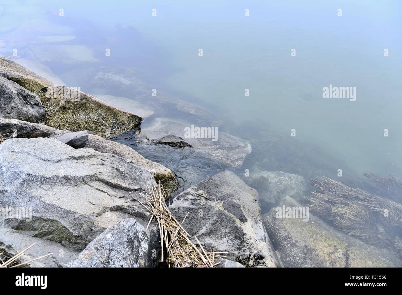 Aquatic ocean moss landscape hi-res stock photography and images - Alamy