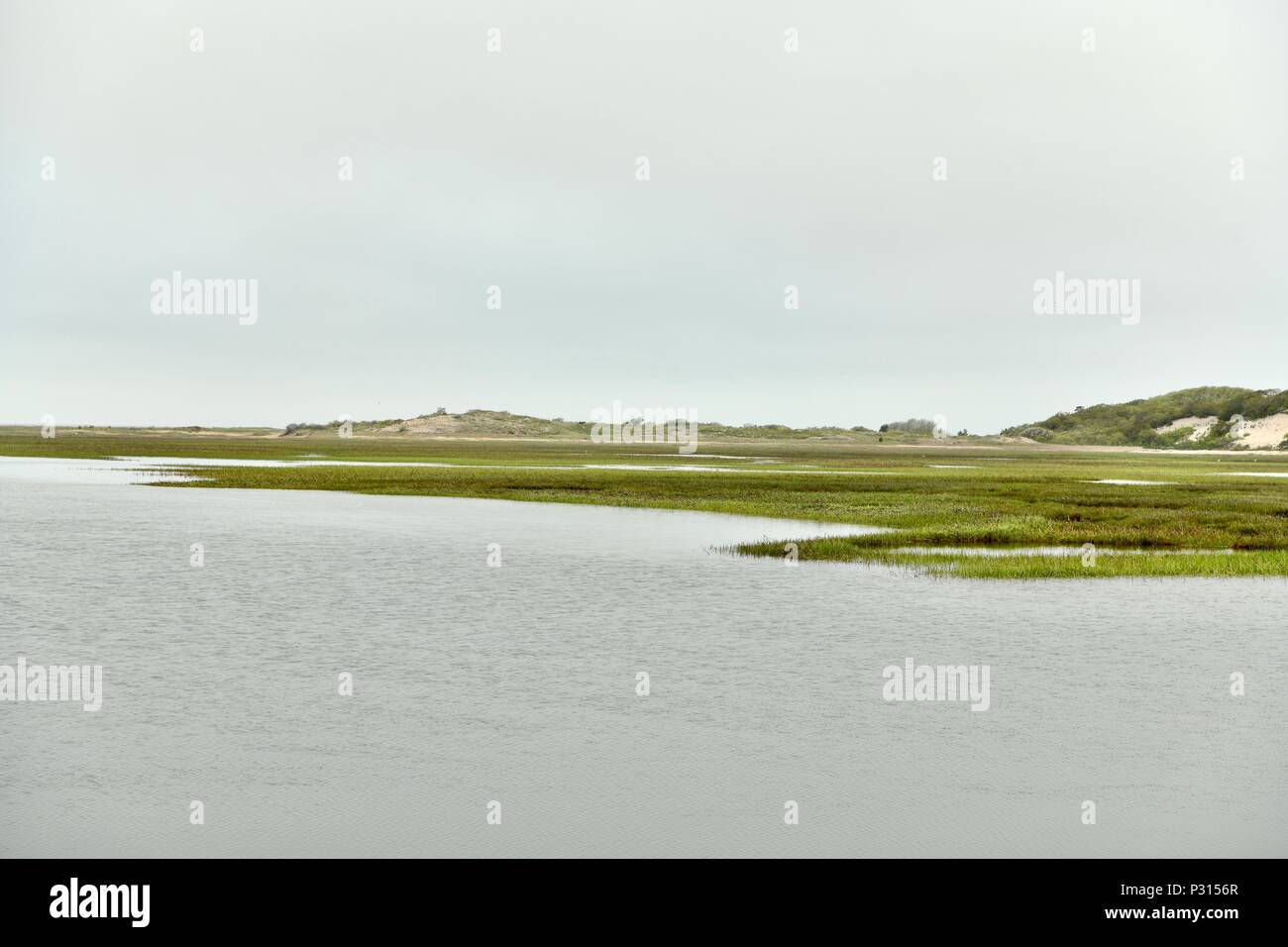 Cape Cod National Seashore, Massachusetts, USA Stock Photo - Alamy