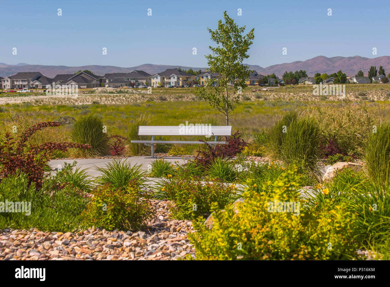 Bench in a public park in Utah Stock Photo - Alamy