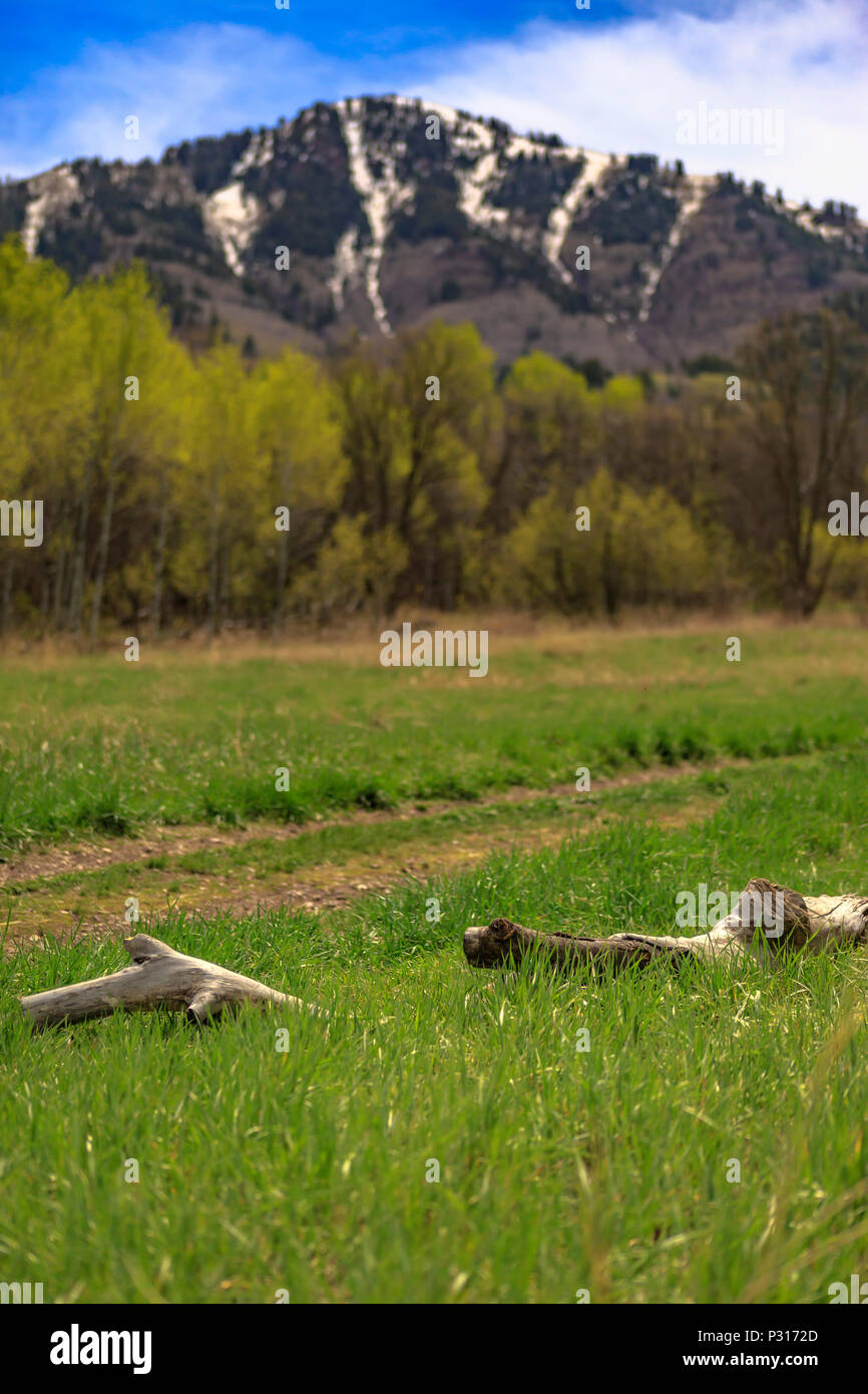 Provo magazine hi-res stock photography and images - Alamy