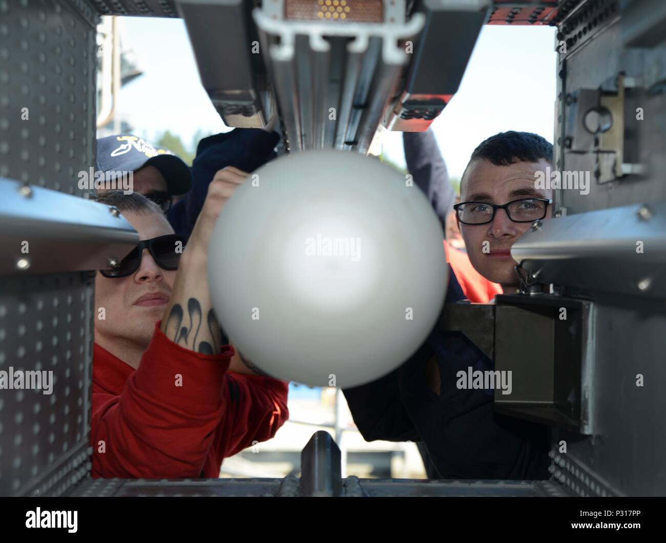 Nato seasparrow hi-res stock photography and images - Alamy