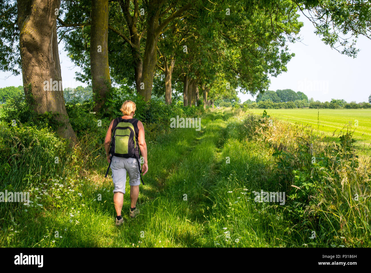 woman with backpack walking in farmland in Overijssel, Holland Stock ...