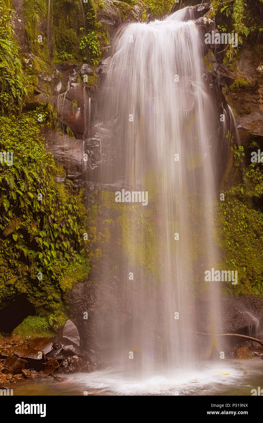 The Lost Waterfalls are located on the slopes of Volcan Baru near ...