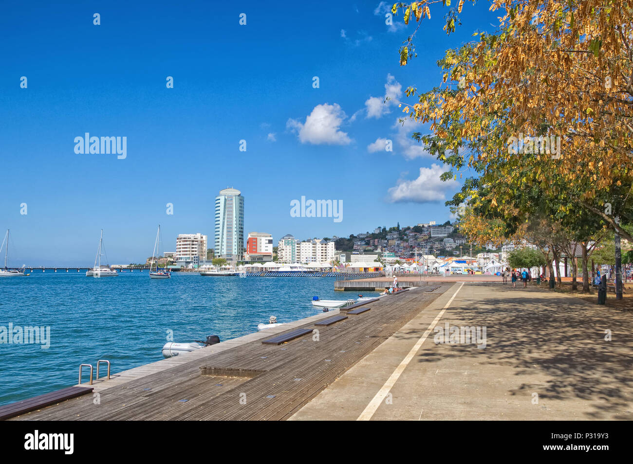 Fort de France view and skyline - Caribbean tropical island ...
