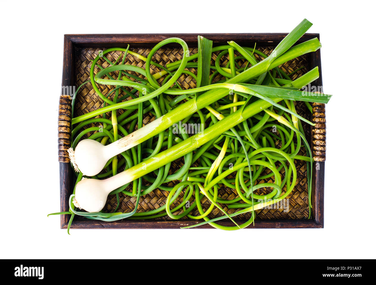 Young shoots of garlic. Studio Photo Stock Photo - Alamy