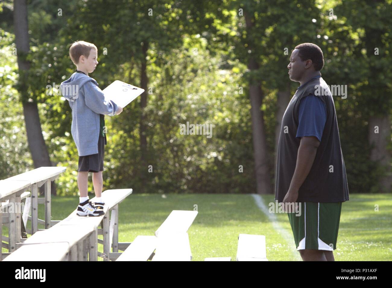 Original Film Title: THE BLIND SIDE. English Title: THE BLIND SIDE ...