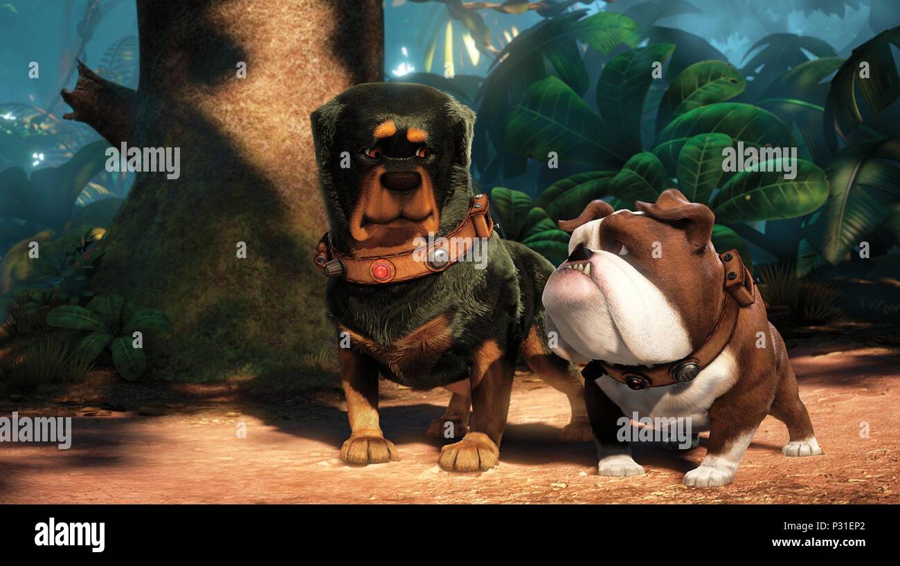 Alpha Beta And Gamma Up