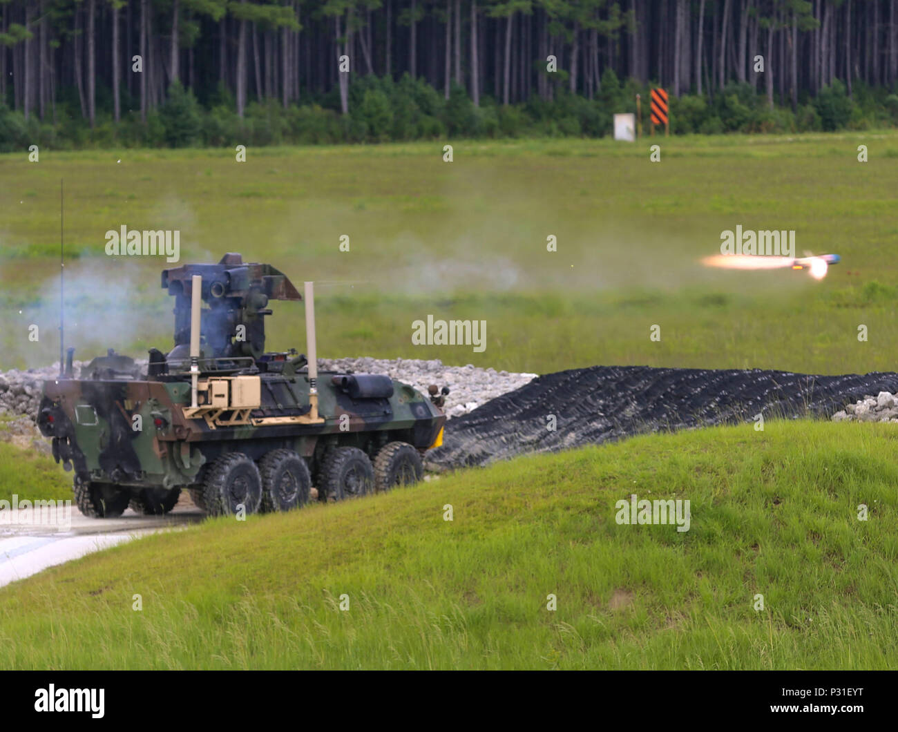 Marines with 2nd Light Armored Reconnaissance Battalion, 2nd Marine ...