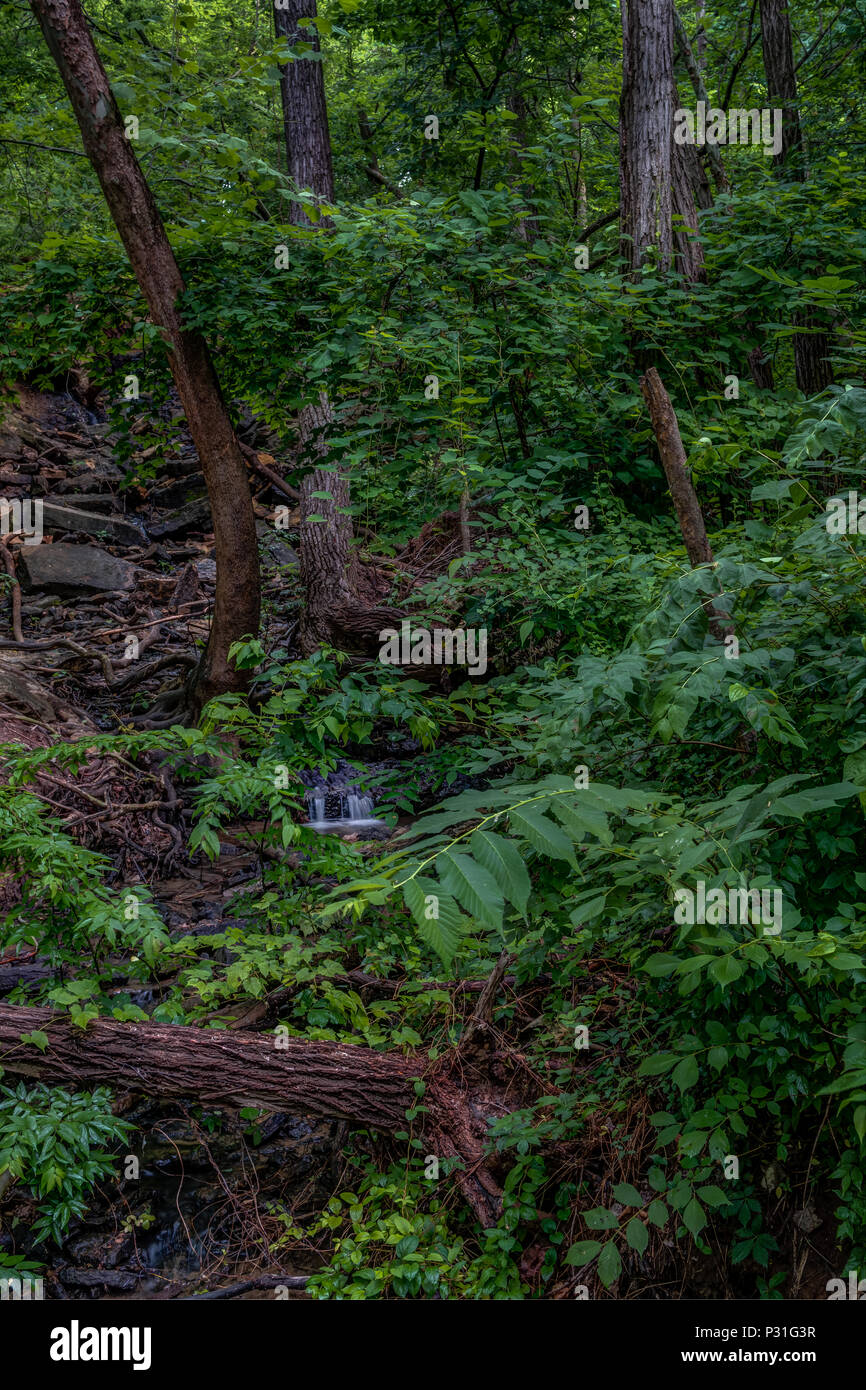 Nature of Kansas City USA Stock Photo - Alamy