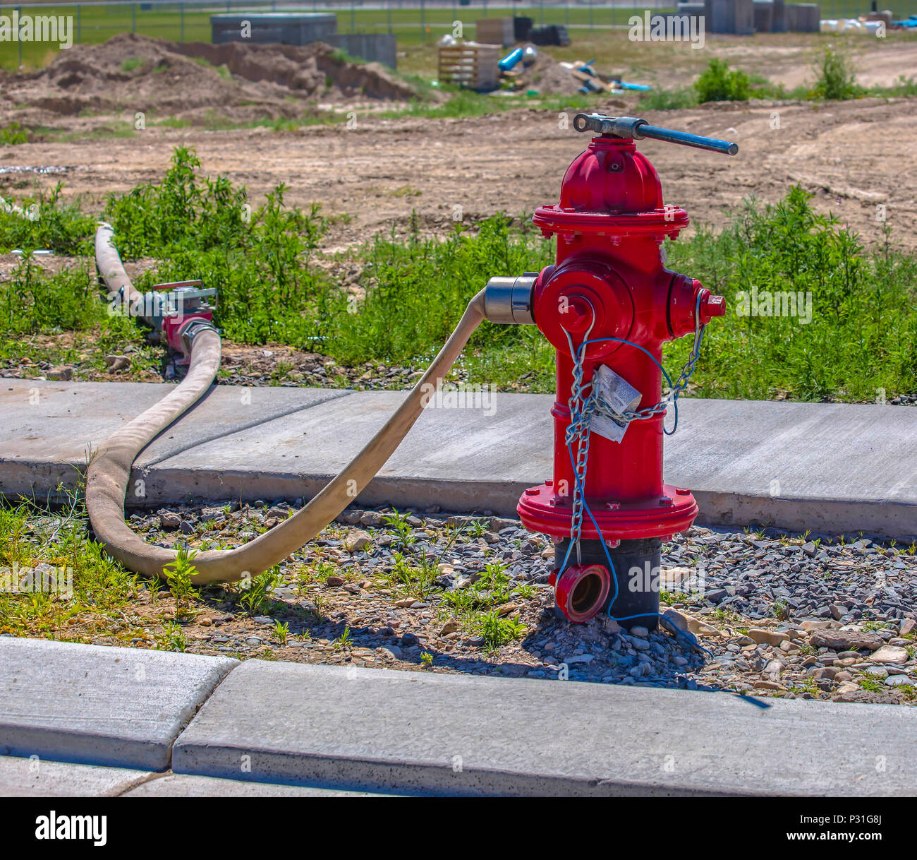 Red fire hydrant with hose connected for use in construction zone in ...