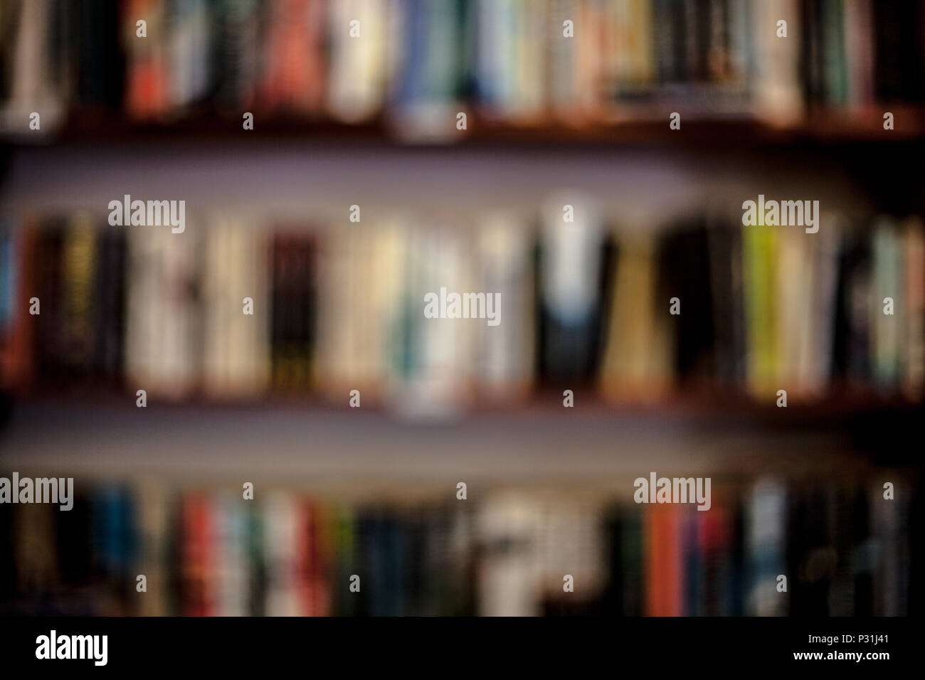 Shelves with books in a blurred background. Learning concept with ...
