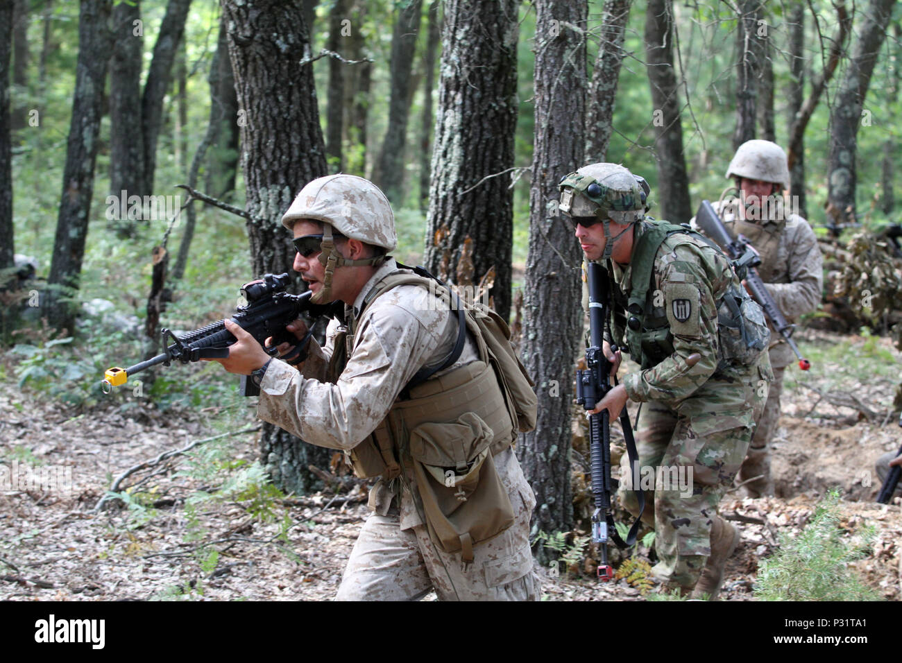 397th engineer battalion hi-res stock photography and images - Alamy