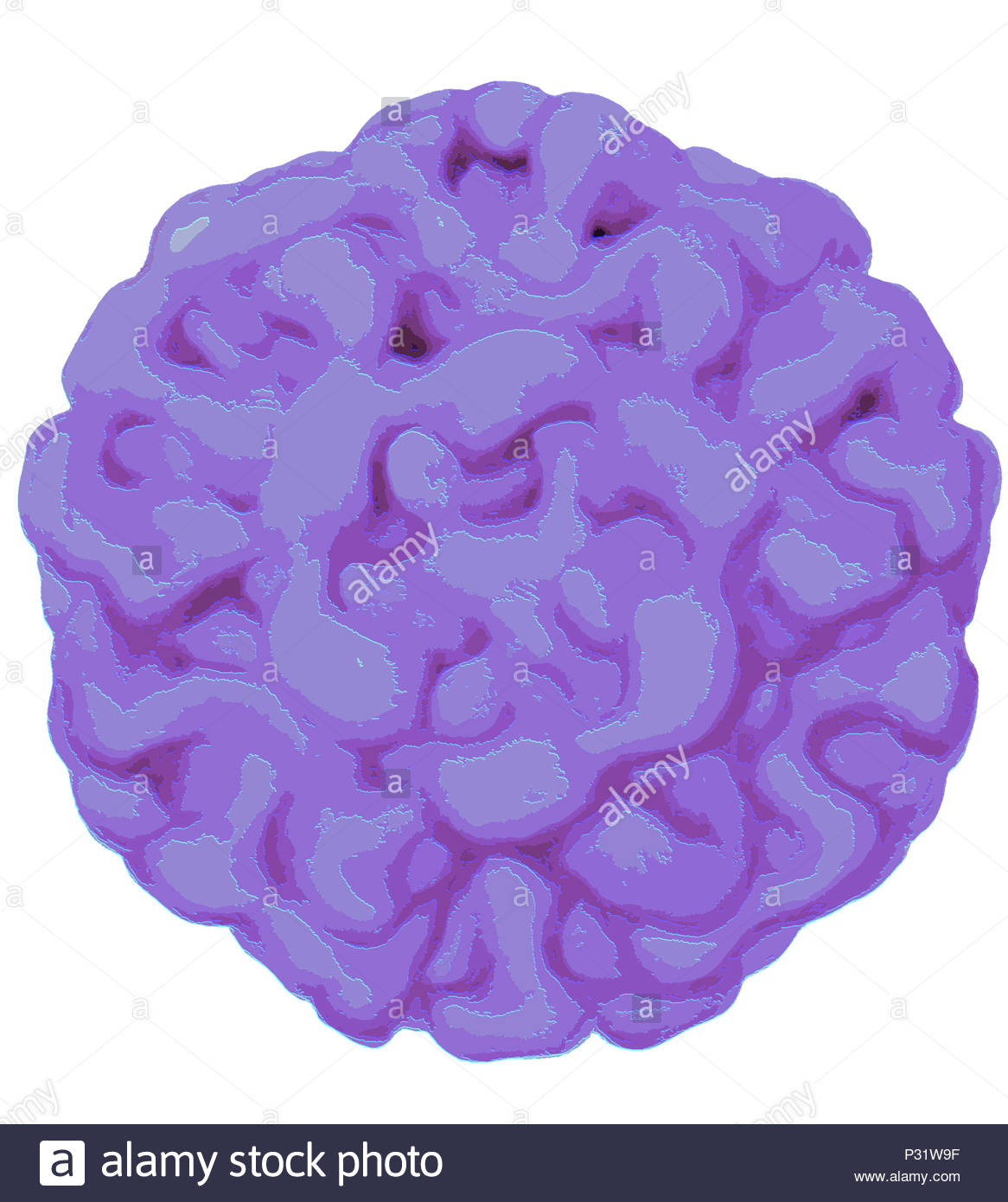 Norovirus Infection Stock Photos & Norovirus Infection Stock Images - Alamy