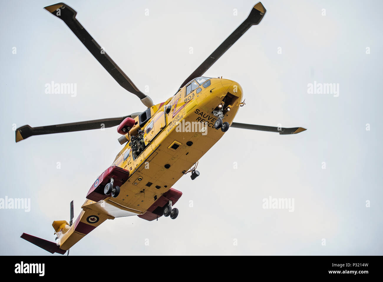 A CH-149 Cormorant helicopter from 442 Transport and Rescue Squadron, Royal Canadian Air Force ...