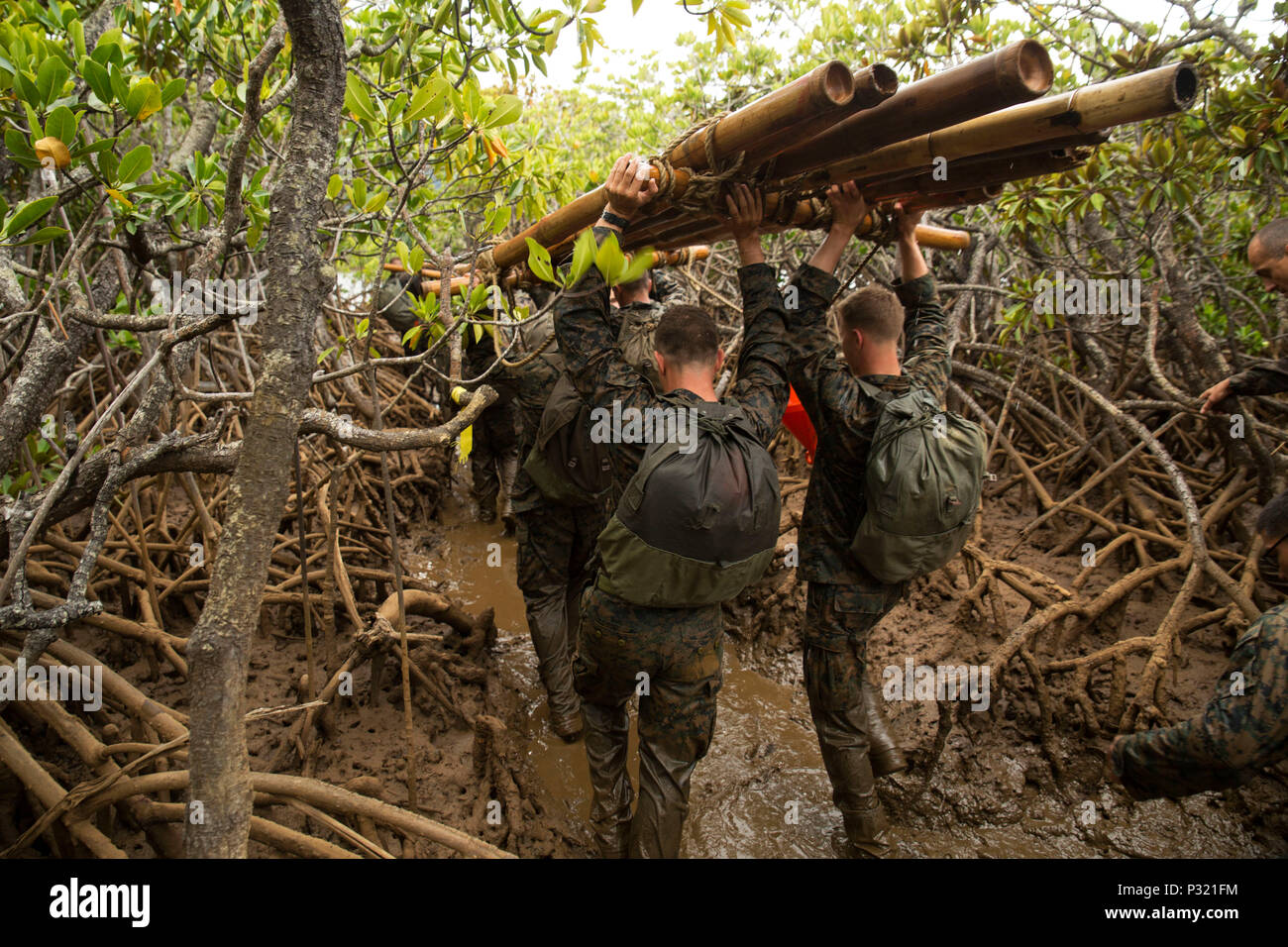 Marines with Marine Rotational Force – Darwin transport a water raft ...