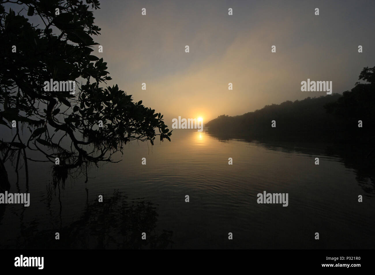 Sunrise in the fog in Bear Cut, Key Biscayne, Florida Stock Photo - Alamy
