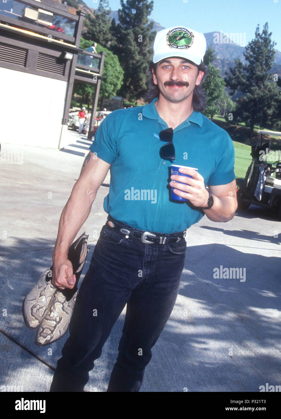 BURBANK, CA - OCTOBER 14: Singer Aaron Tippin attends Willie Nelson ...