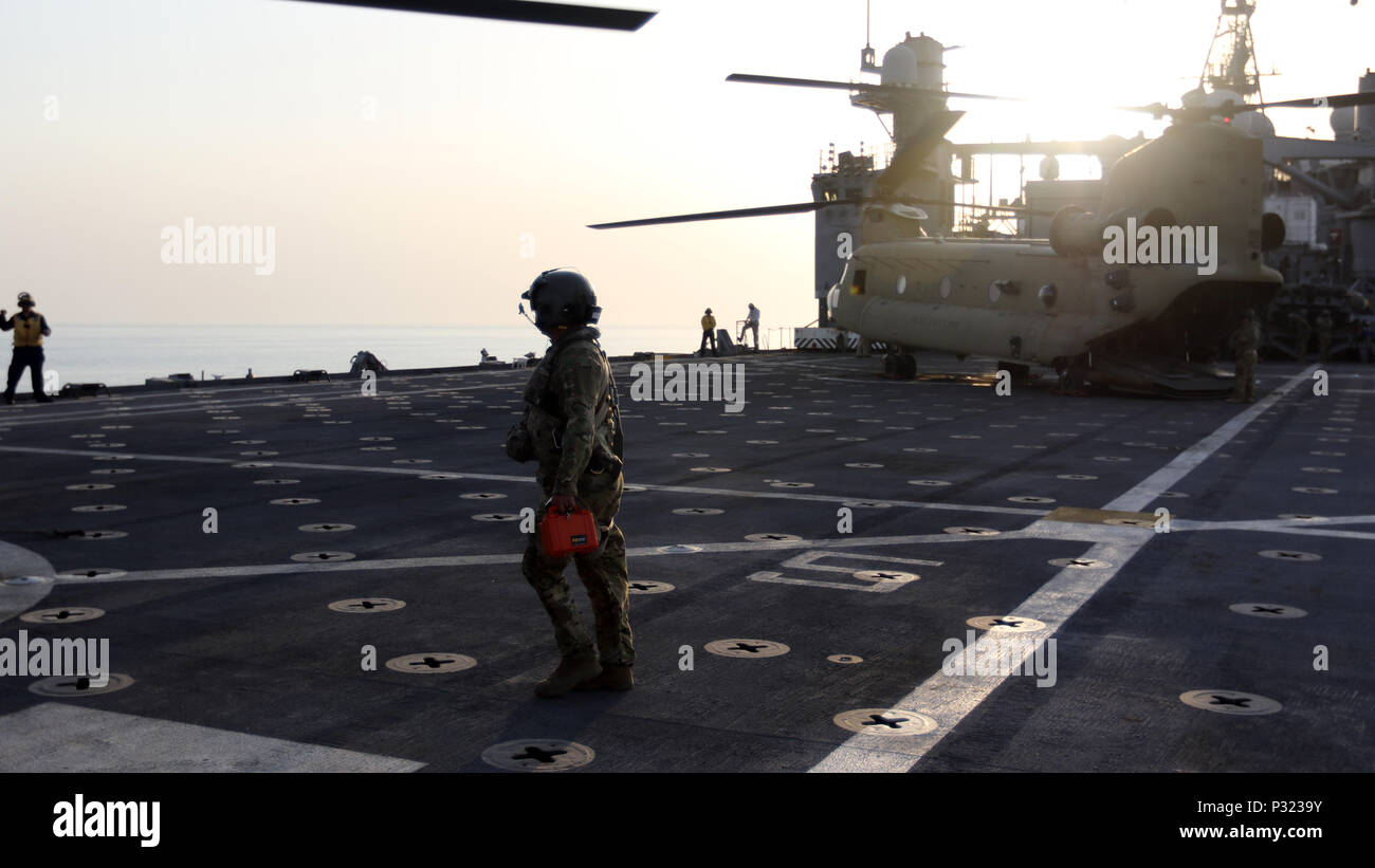 A pilot from 1st Battalion, 111th Aviation Regiment, a Florida National ...