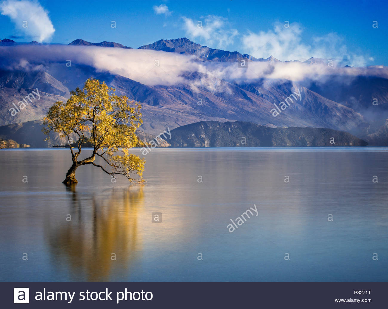 Willow Tree Lake Stock Photos & Willow Tree Lake Stock Images - Alamy