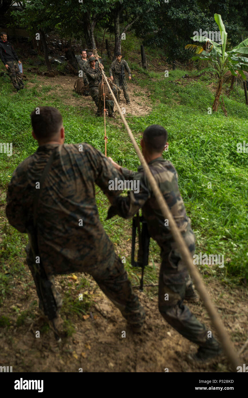 Marines with Marine Rotational Force – Darwin and French Armed Forces ...