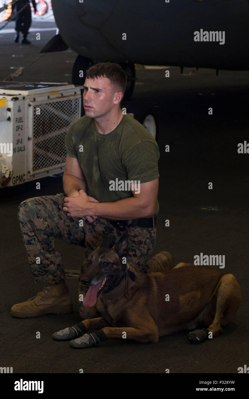 Steeves hi-res stock photography and images - Alamy