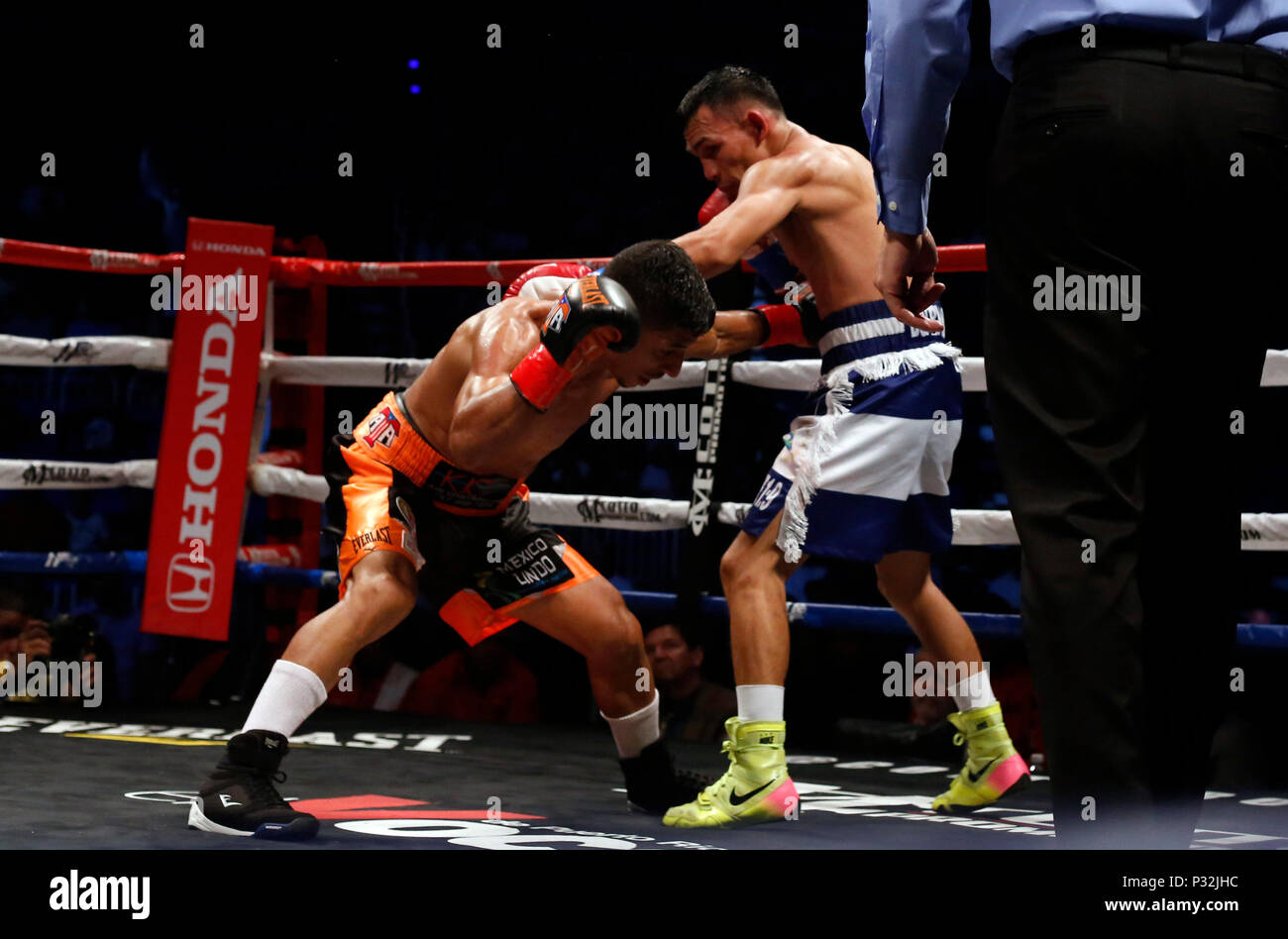 World Boxing Organization Stock Photos & World Boxing Organization ...