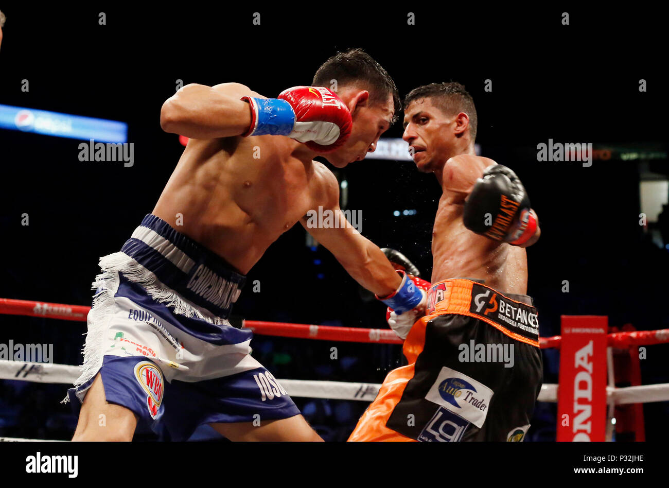 World Boxing Organization Stock Photos & World Boxing Organization ...