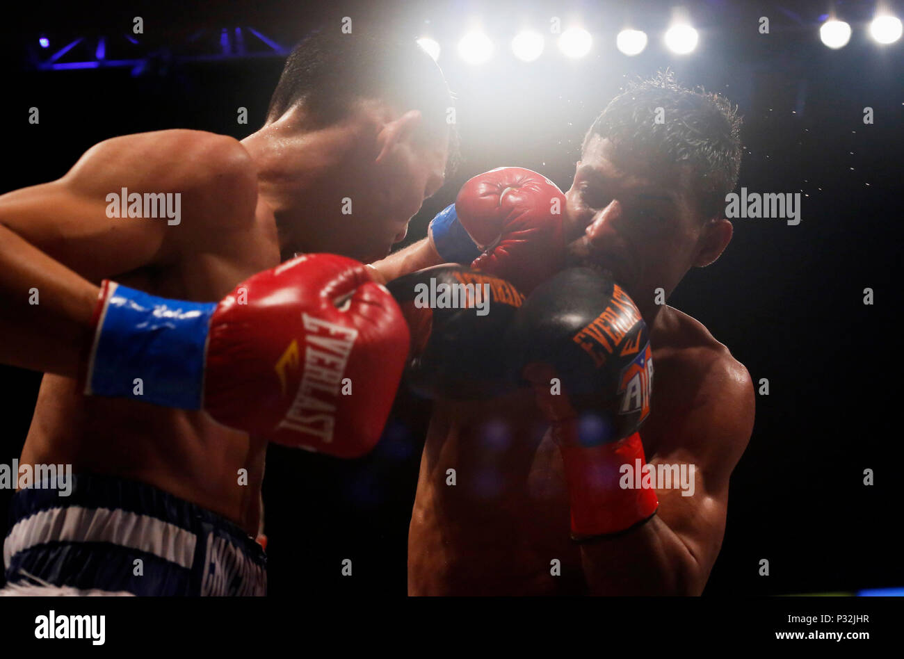 World Boxing Organization Stock Photos & World Boxing Organization ...