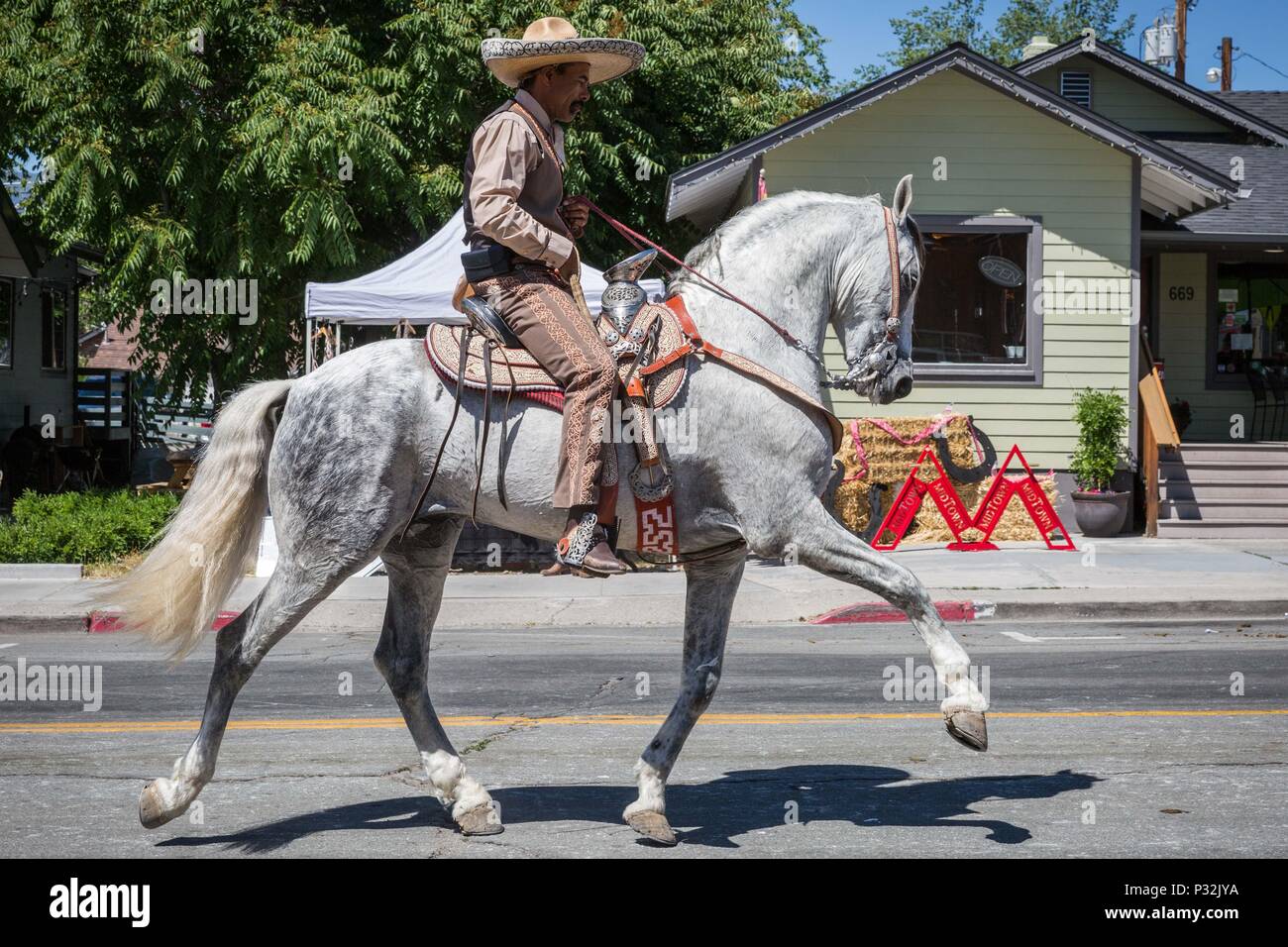 Dancing horses hi-res stock photography and images - Alamy