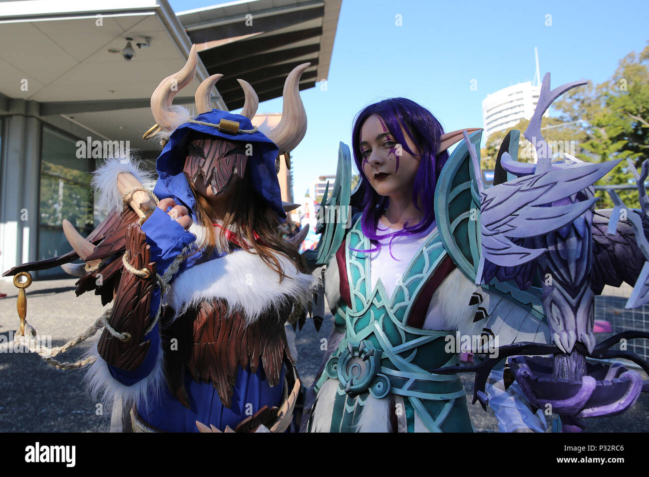 Australian fans dress up hi-res stock photography and images - Alamy