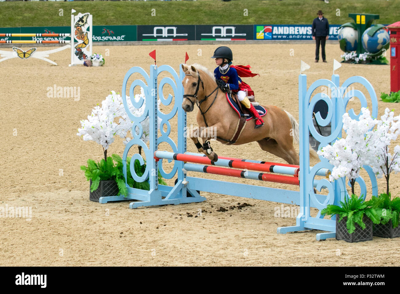 Mini Horses Jumping Really High