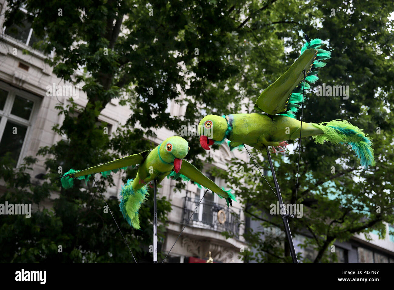 Manchester, UK, 17 June 2018. Birds on sticks at Manchester Day parade ...