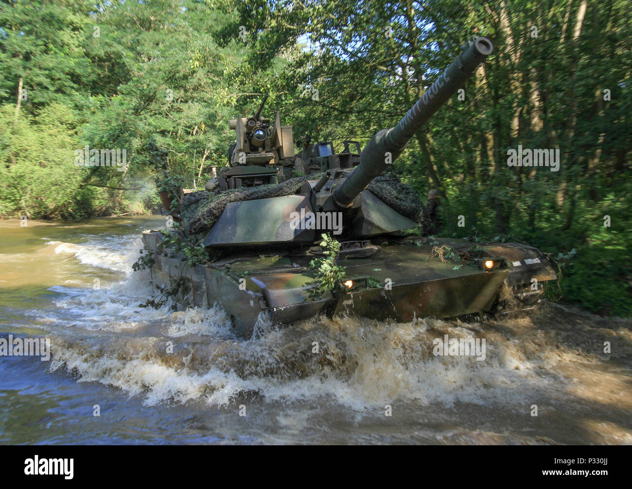 Polish 11th Armored Cavalry Division High Resolution Stock Photography ...