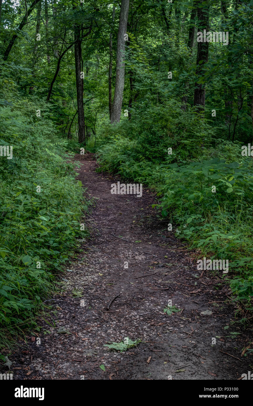 Nature of Kansas City USA Stock Photo - Alamy