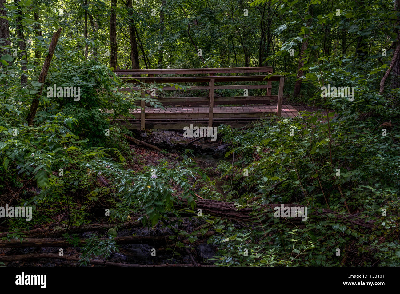 Nature of Kansas City USA Stock Photo - Alamy