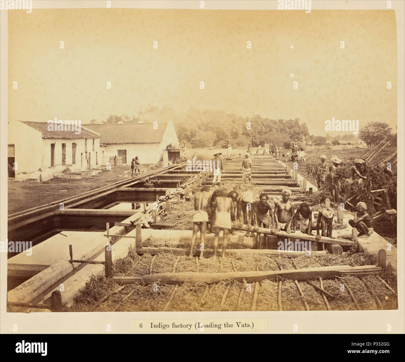 Indigo vats hi-res stock photography and images - Alamy
