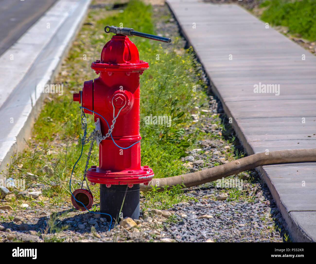 Red fire hydrant with hose connected for use in construction zone in ...