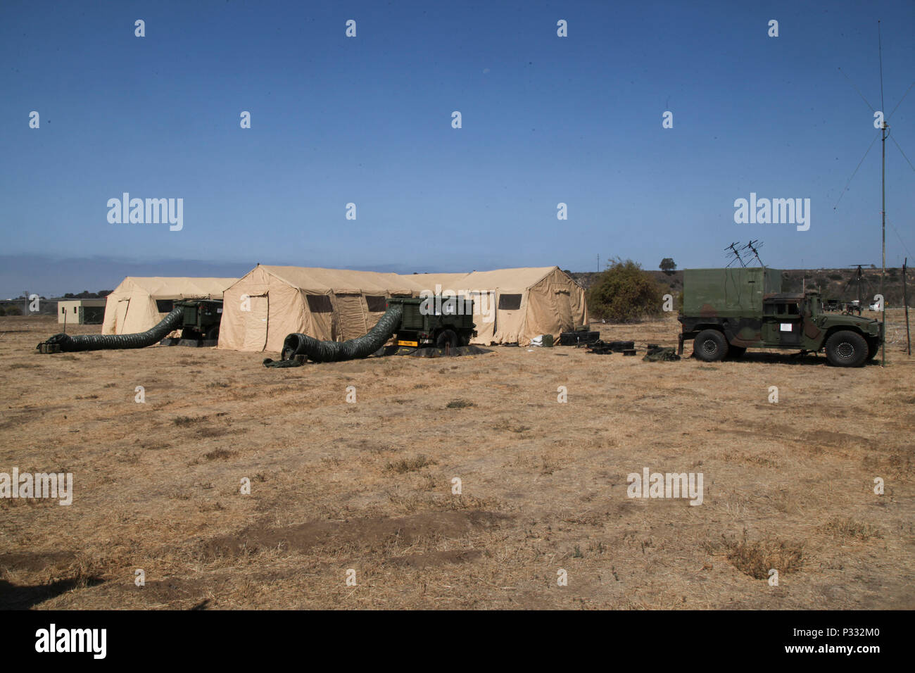 Cocex hi-res stock photography and images - Alamy