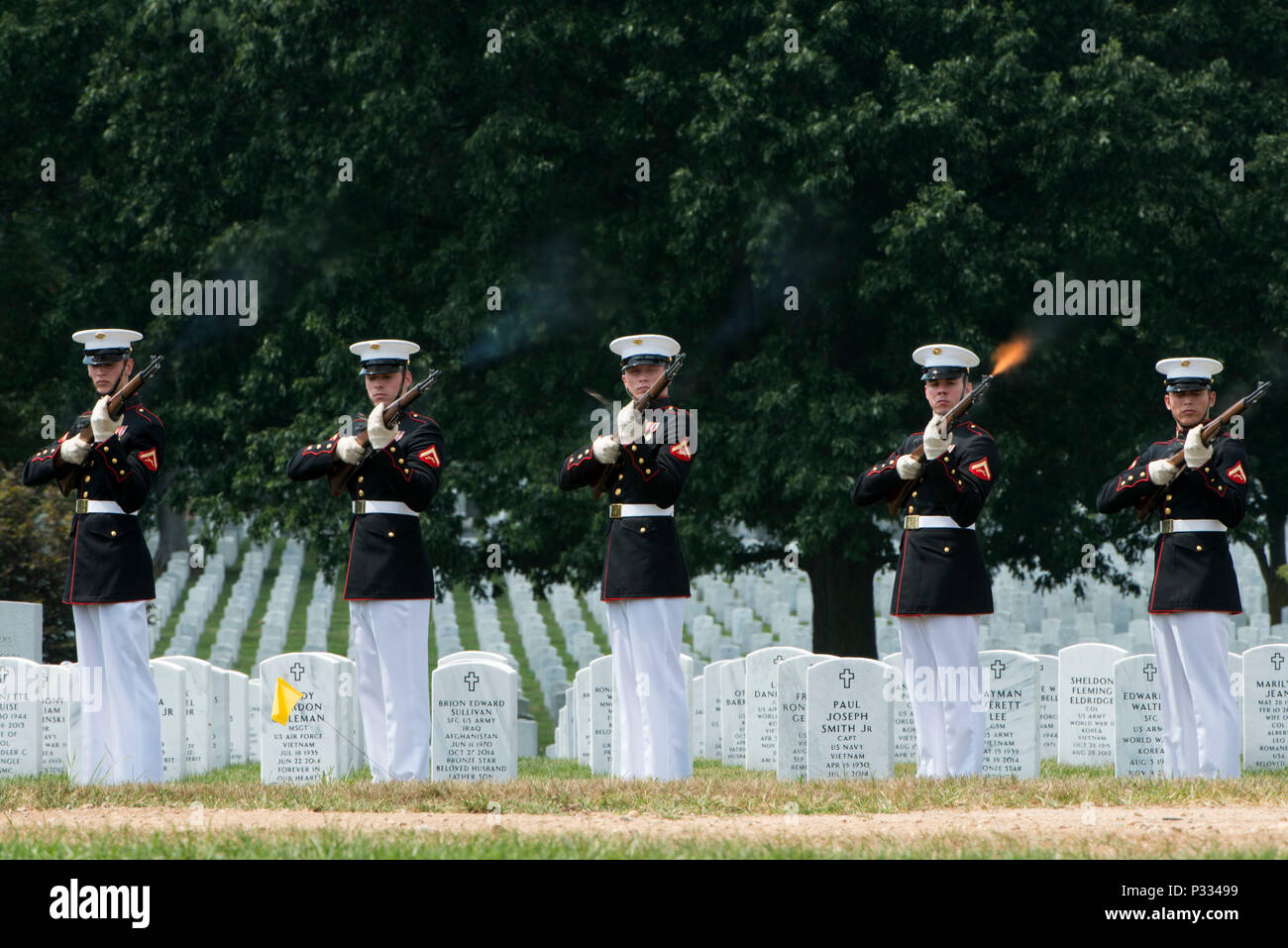 Members of the U.S. Marine Corps participate in the graveside service ...