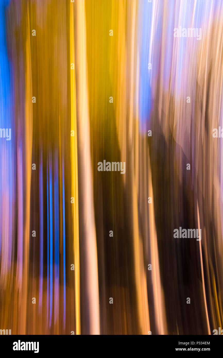 Highly saturated hi-res stock photography and images - Alamy