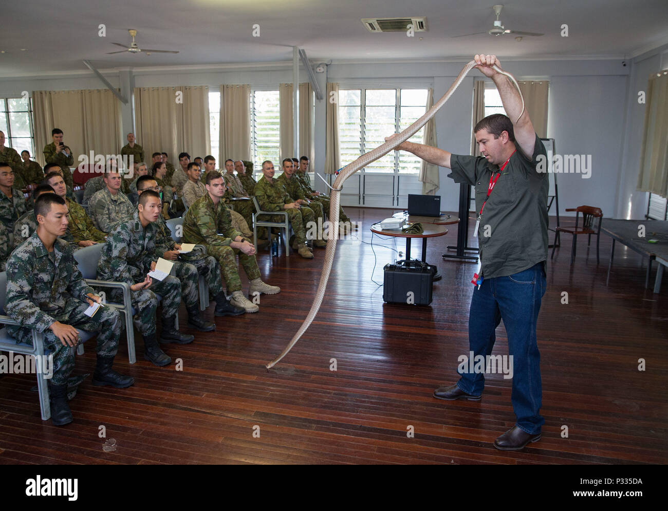 Jake the snake hi-res stock photography and images - Alamy