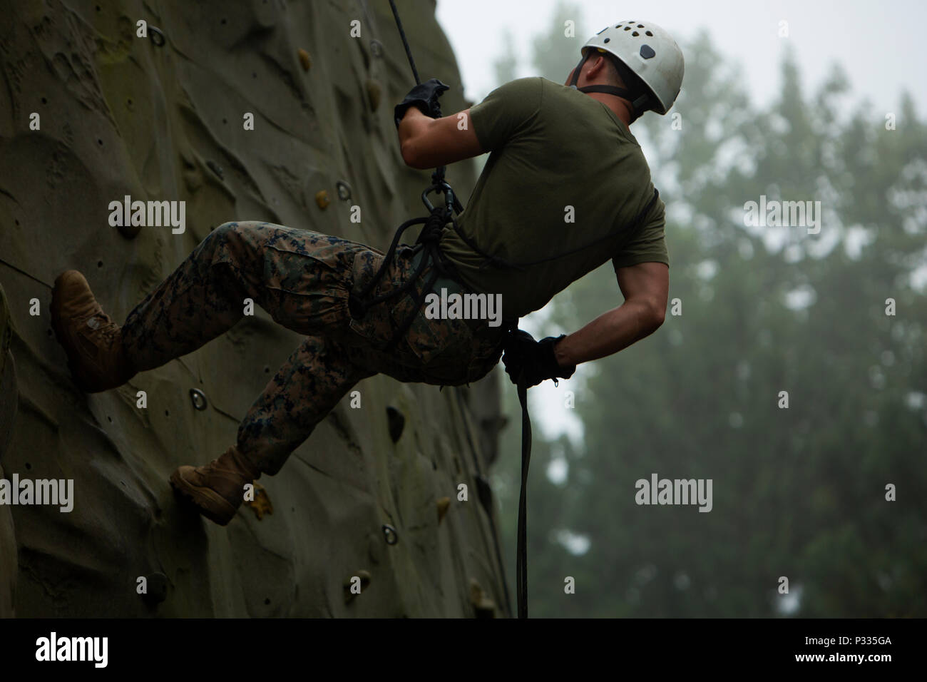 A Marine with Battalion Landing Team, 3rd Battalion, 6th Marine ...